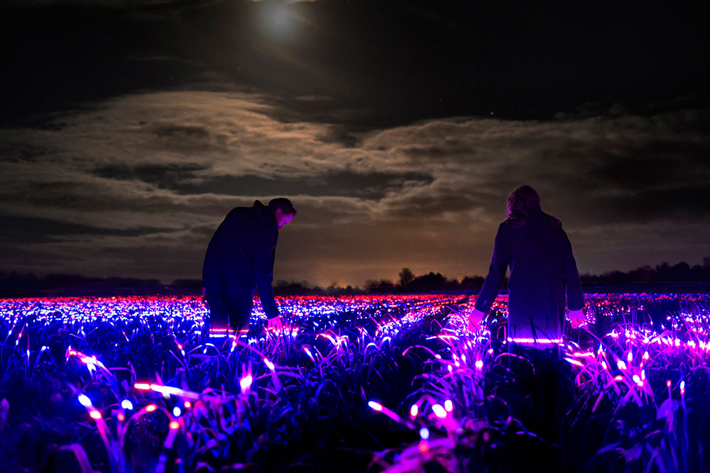 "Grow" by Daan Roosegaarde: Art Meets Agriculture